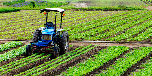 All You Need To Know About Mechanized Farming All You Need To Know About Mechanized Farming